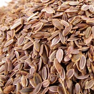 Delivery :: Espaço Verdes